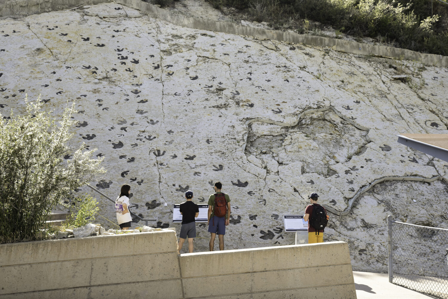 LAAN Meet-up: Guided Tour of Dinosaur Ridge